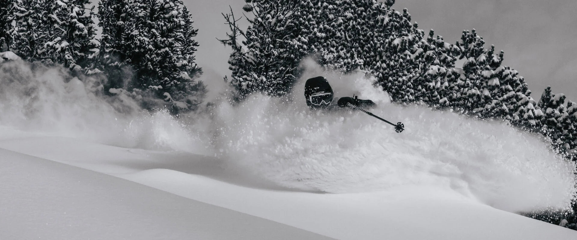 Expression & Progression with Finny B & Mons Royale Canada